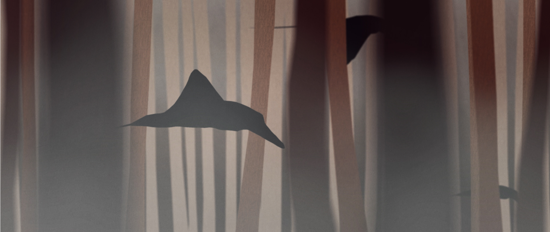 The Flight of the Manta Rays – MAILUKI FILMS